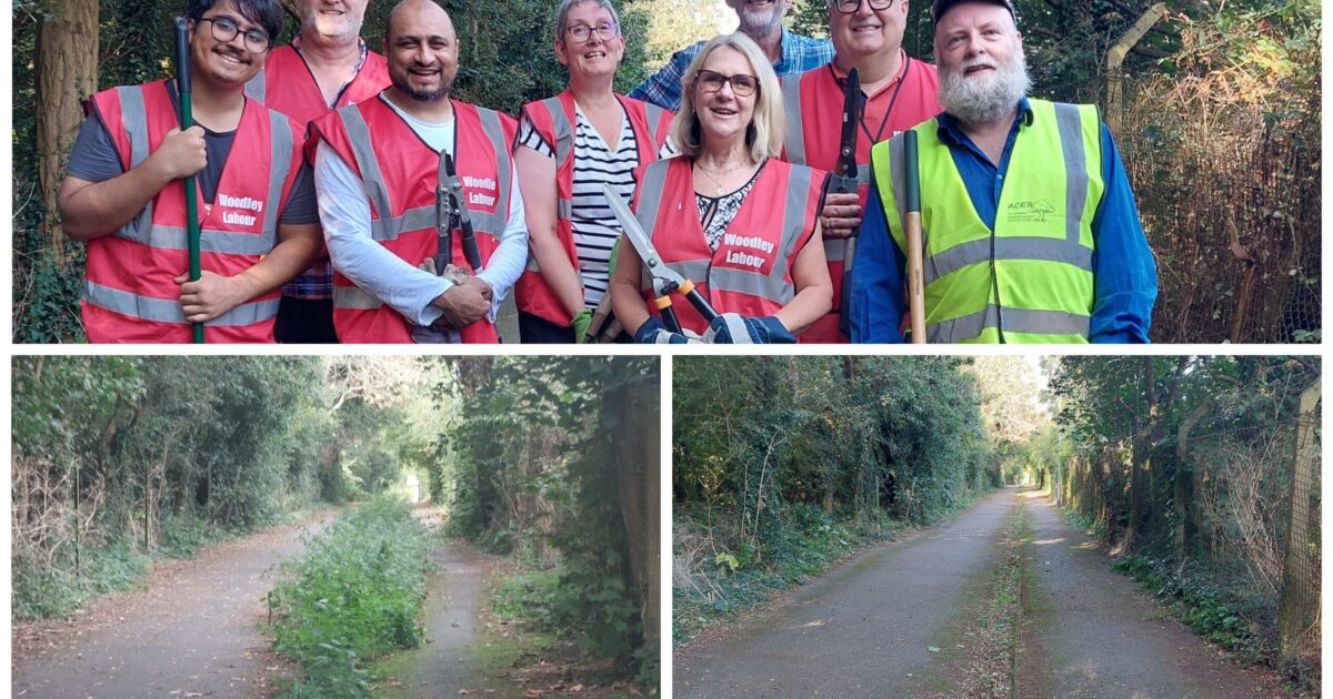 Town Lane Clean up - Wokingham Constituency Labour Party - Wokingham ...